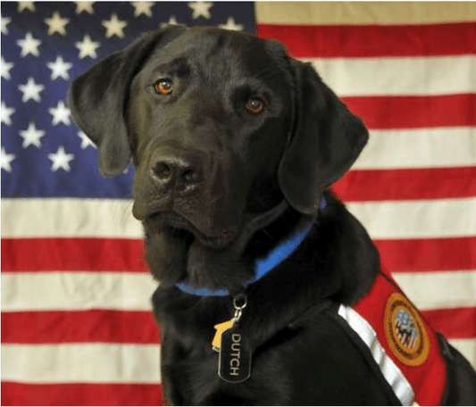 Guardian Pet Food Announces First Charitable Partnership – NOBL Foods